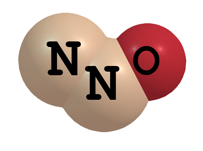 SYNERGOLAB - evidence based nature